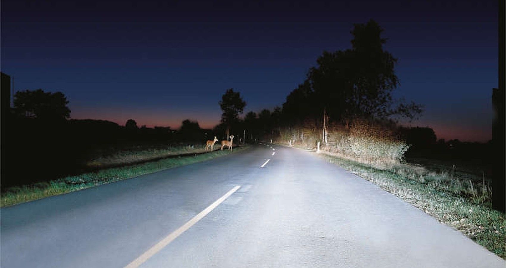 Here's Everything You Should Know About HID Lights