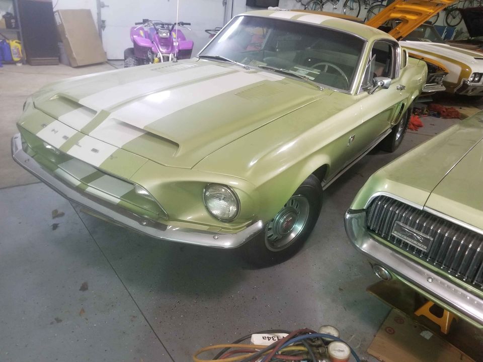 What You Need To Know About Tony Branda Shelby Mustangs