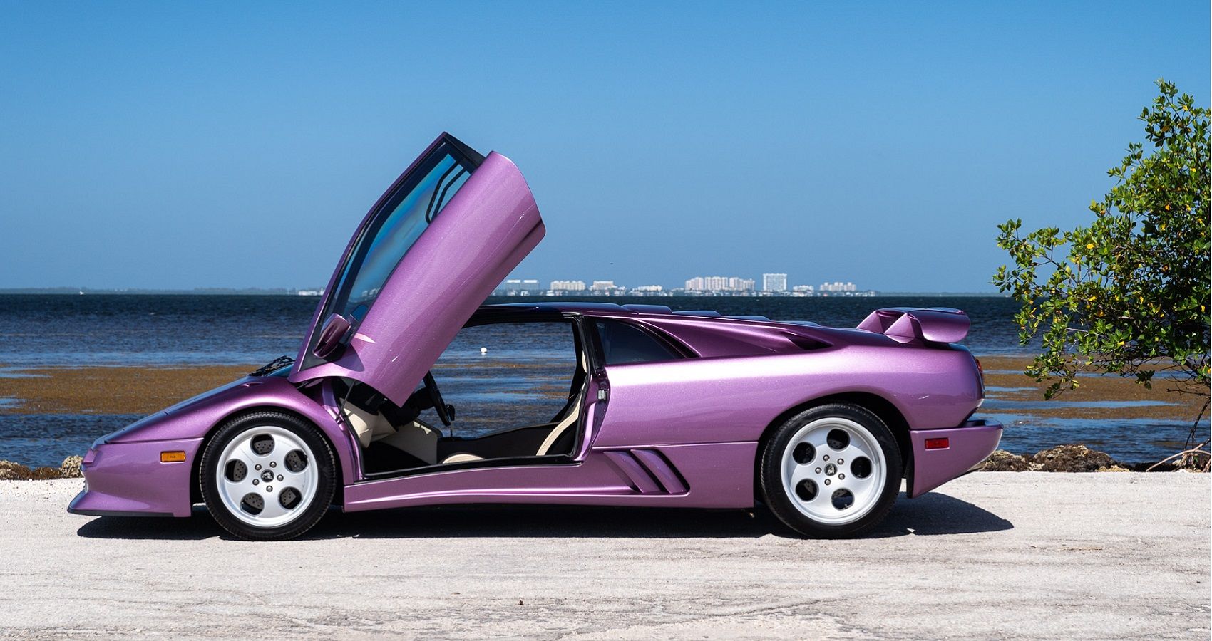 10 Things Everyone Forgot About The Vector M12