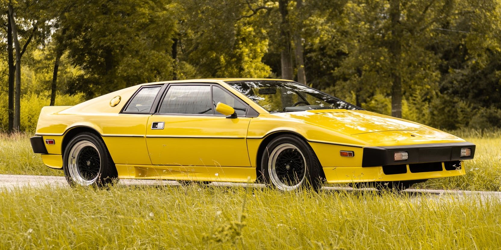 10 Lotus Cars That Are Perfect For Dominating Both The Road And Track