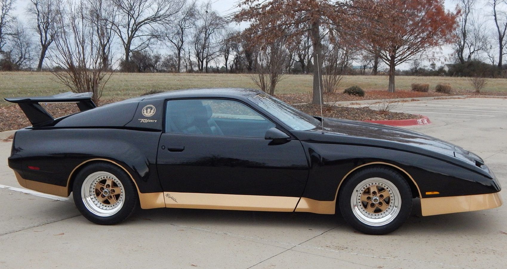 A Guide To Buying A 1985-1991 Pontiac Tojan