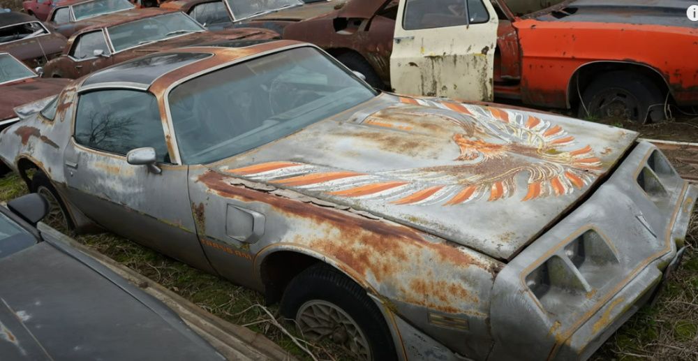 More Chevrolet Camaros And Pontiac Firebirds Uncovered At Yard Full Of ...