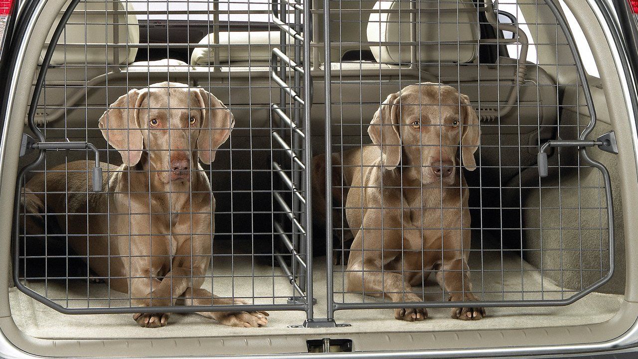 10 Reasons The Volvo V70 Has Always Been One Of The Best Family Haulers