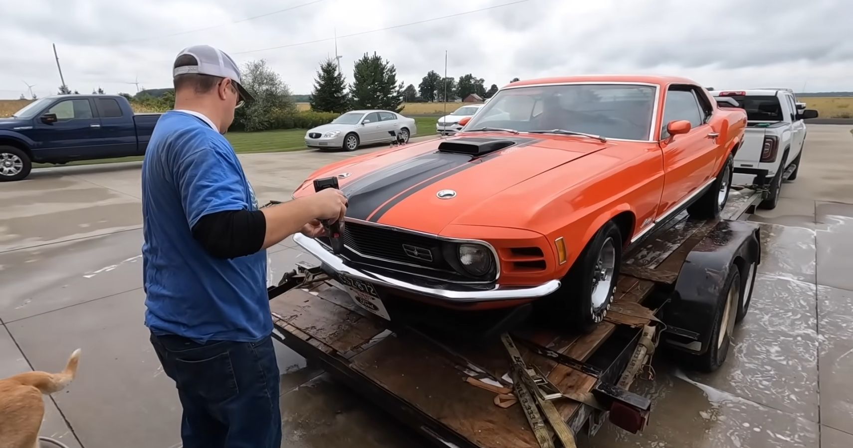 This Ford Mustang Has Been Trapped In A Barn For Over 40 Years