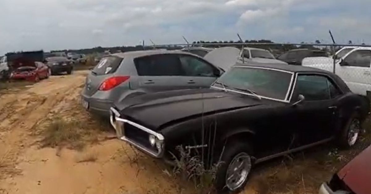 Here's Two Great Collections Of Forgotten Classic Cars Sitting In ...