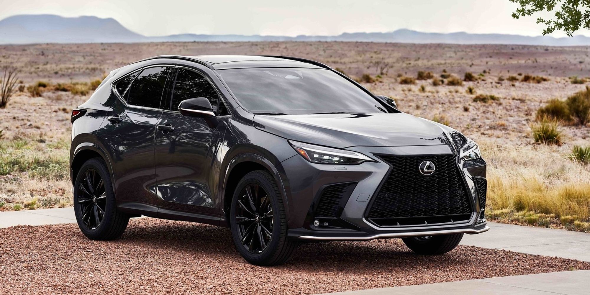 2023 Lexus NX | HotCars