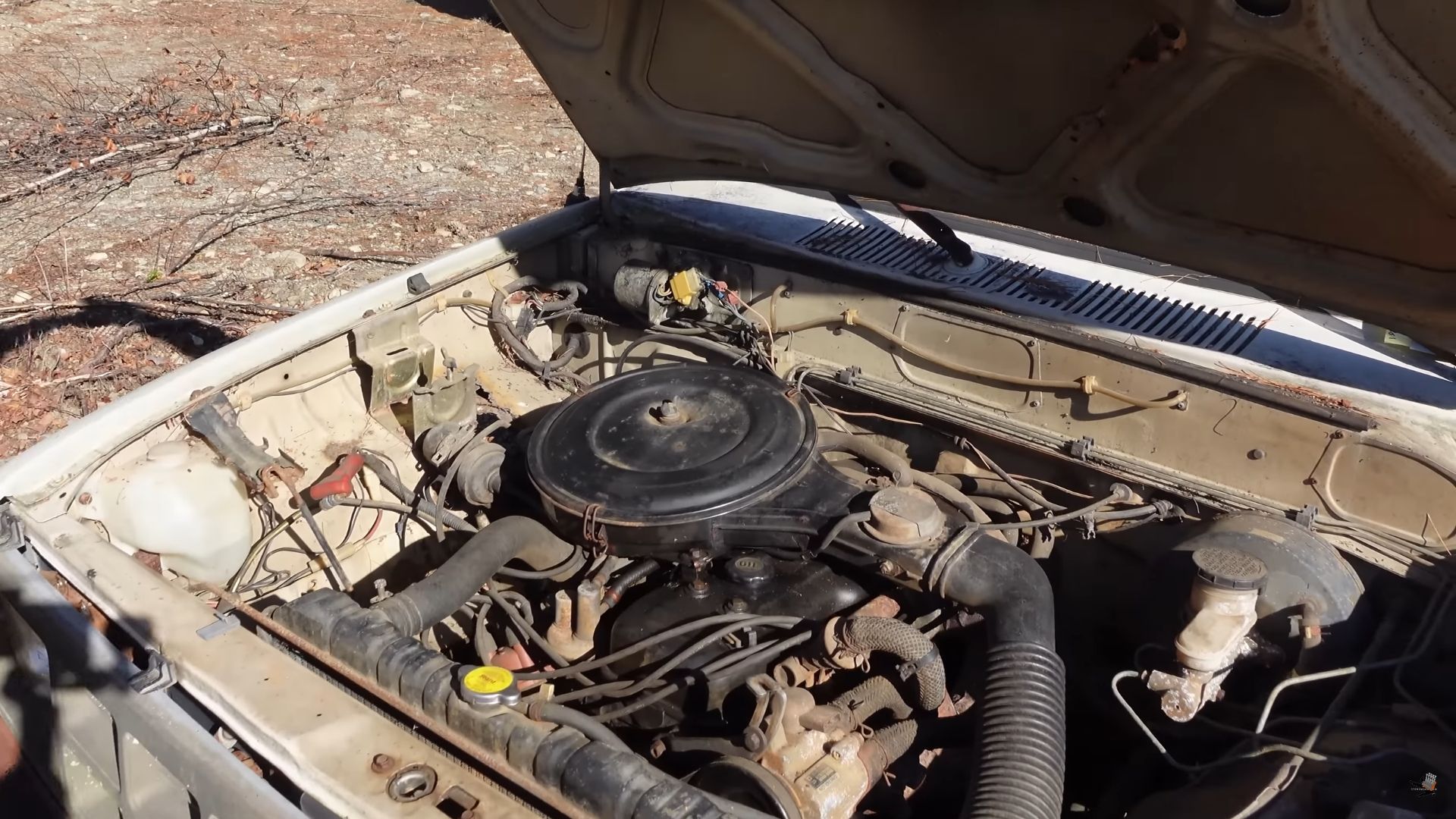 Steve Magnante Stumbles Upon A Rare Little Isuzu Pickup