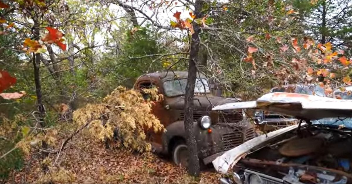 A Millionaire's Abandoned Classic Car Collection Offers Some Hidden Gems
