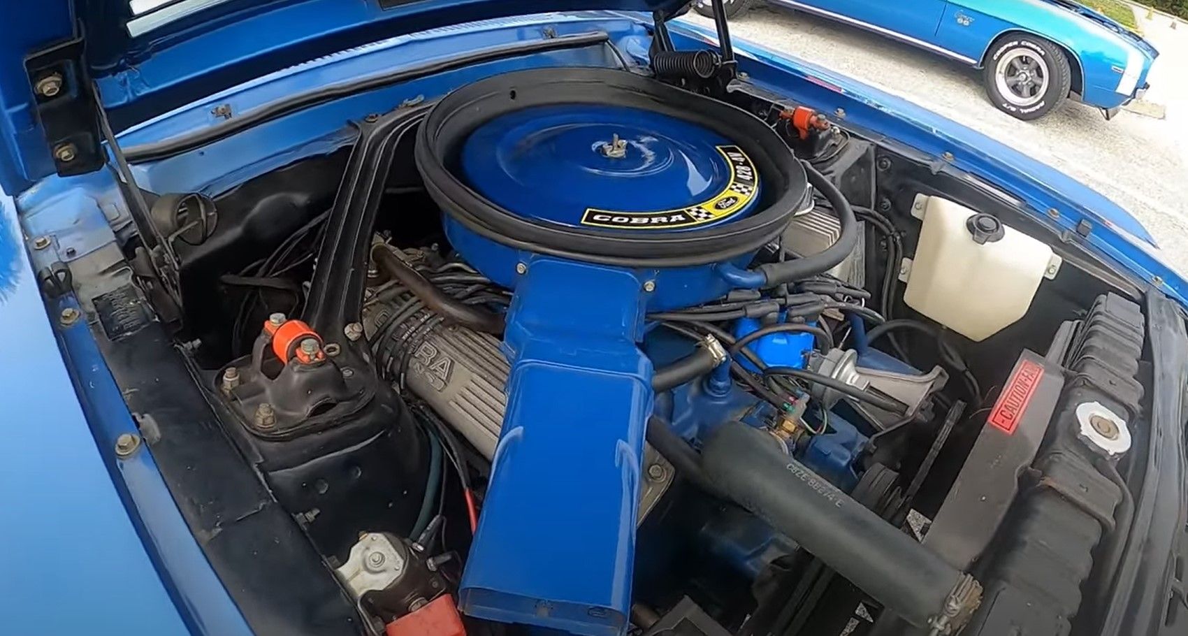 A Rare Shelby Ford Mustang GT500 KR Is A True Stunner At This Florida ...