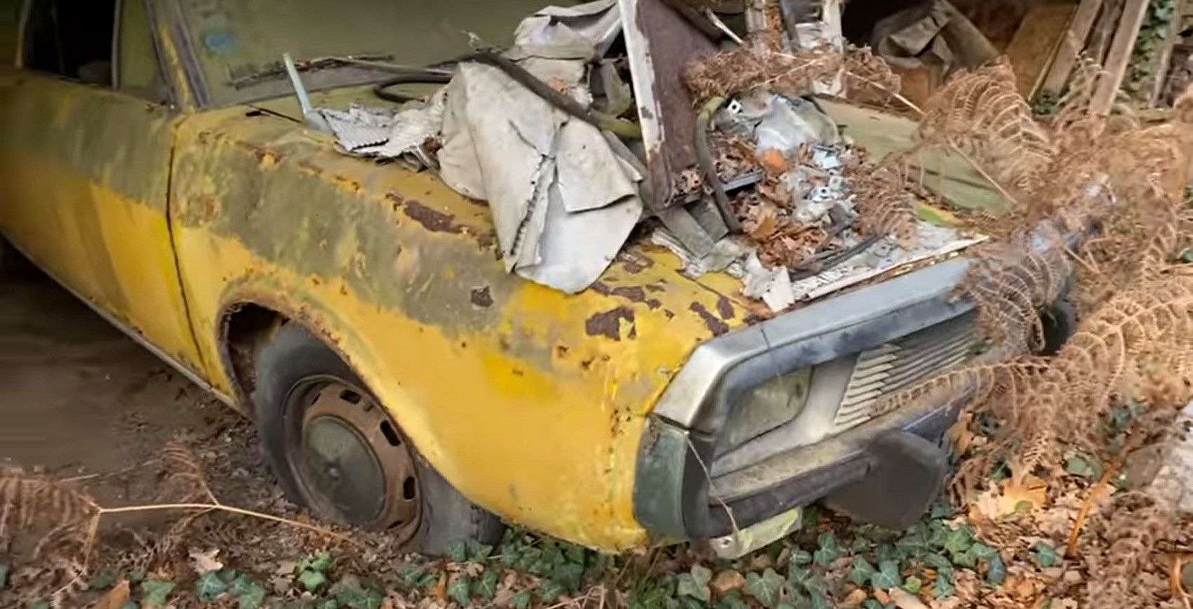 This Barn Find Explorer Discovers The Biggest Collection Of Obscure ...