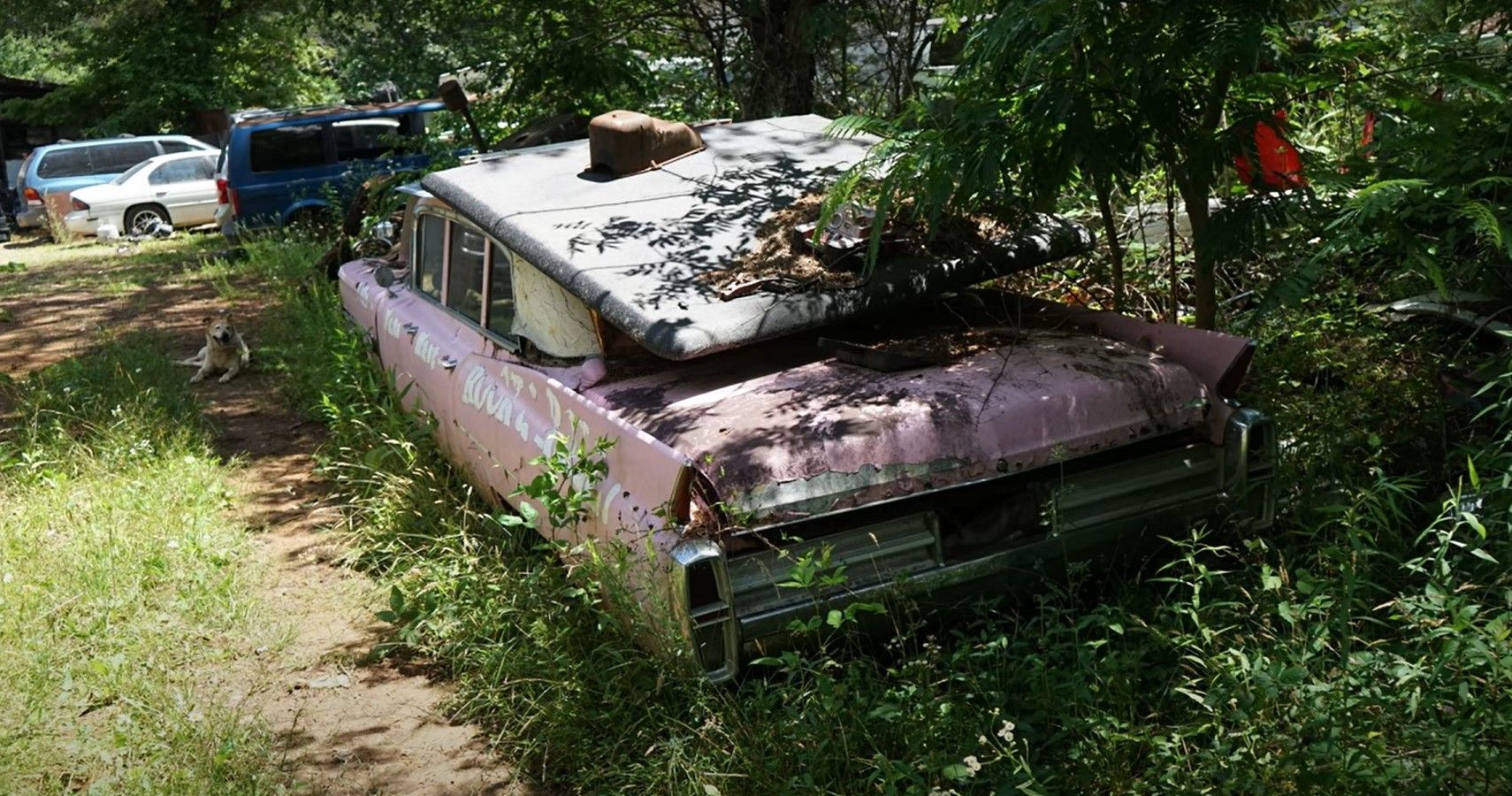Finding A Pink 1963 Cadillac Eldorado Limousine Allegedly Owned By ...