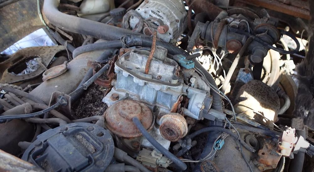 Why Not Every 1981 Pontiac Firebird Was A Trans Am Or Formula