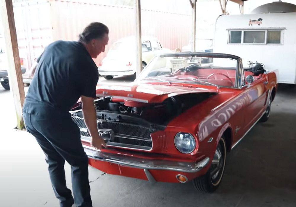 Dennis Collins’ Latest Rescue Turns Into A Volkswagen Treasure Hunt