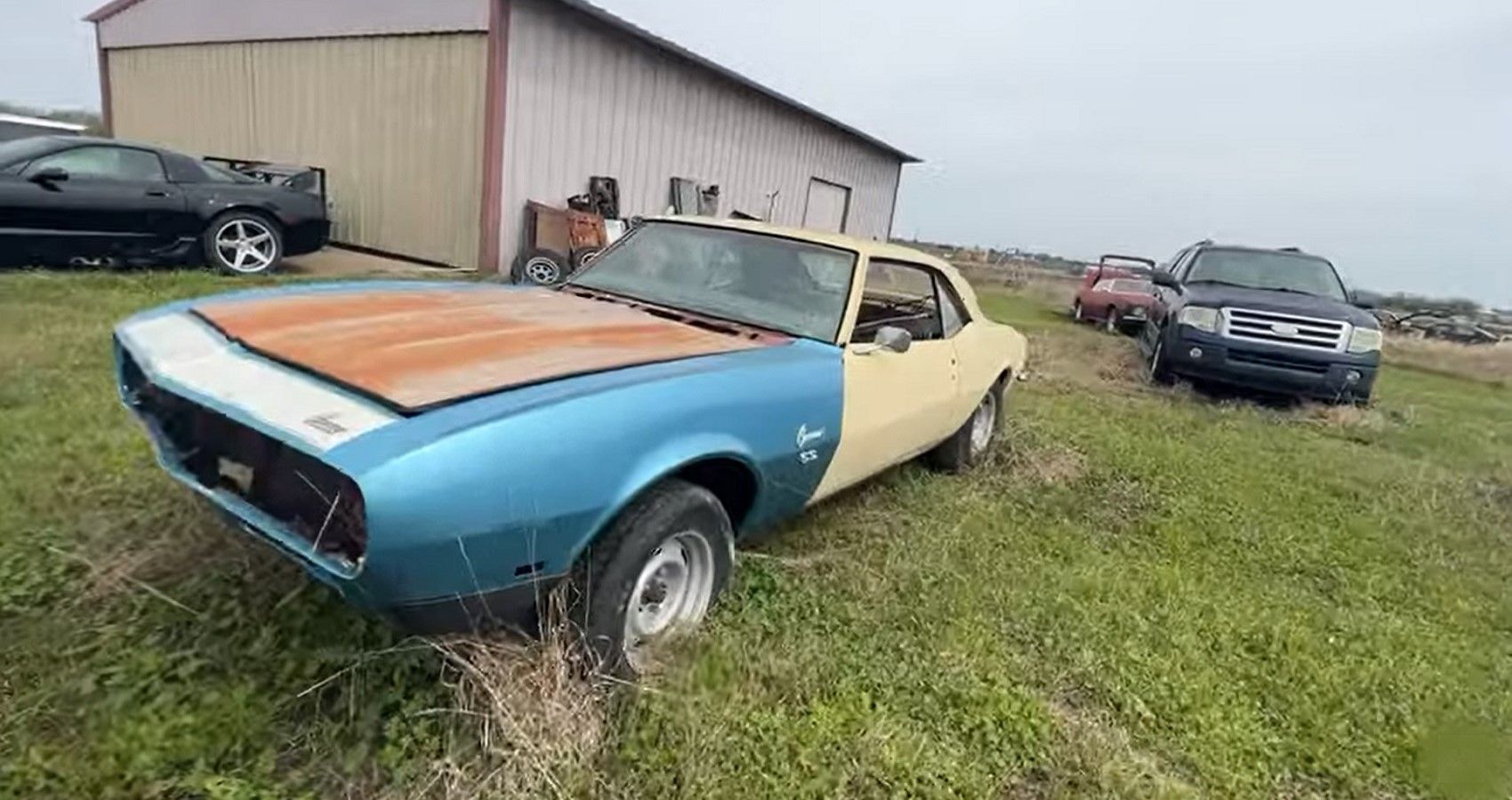Barn Find Explorer Happens Upon Classic Treasures In Field Including ...