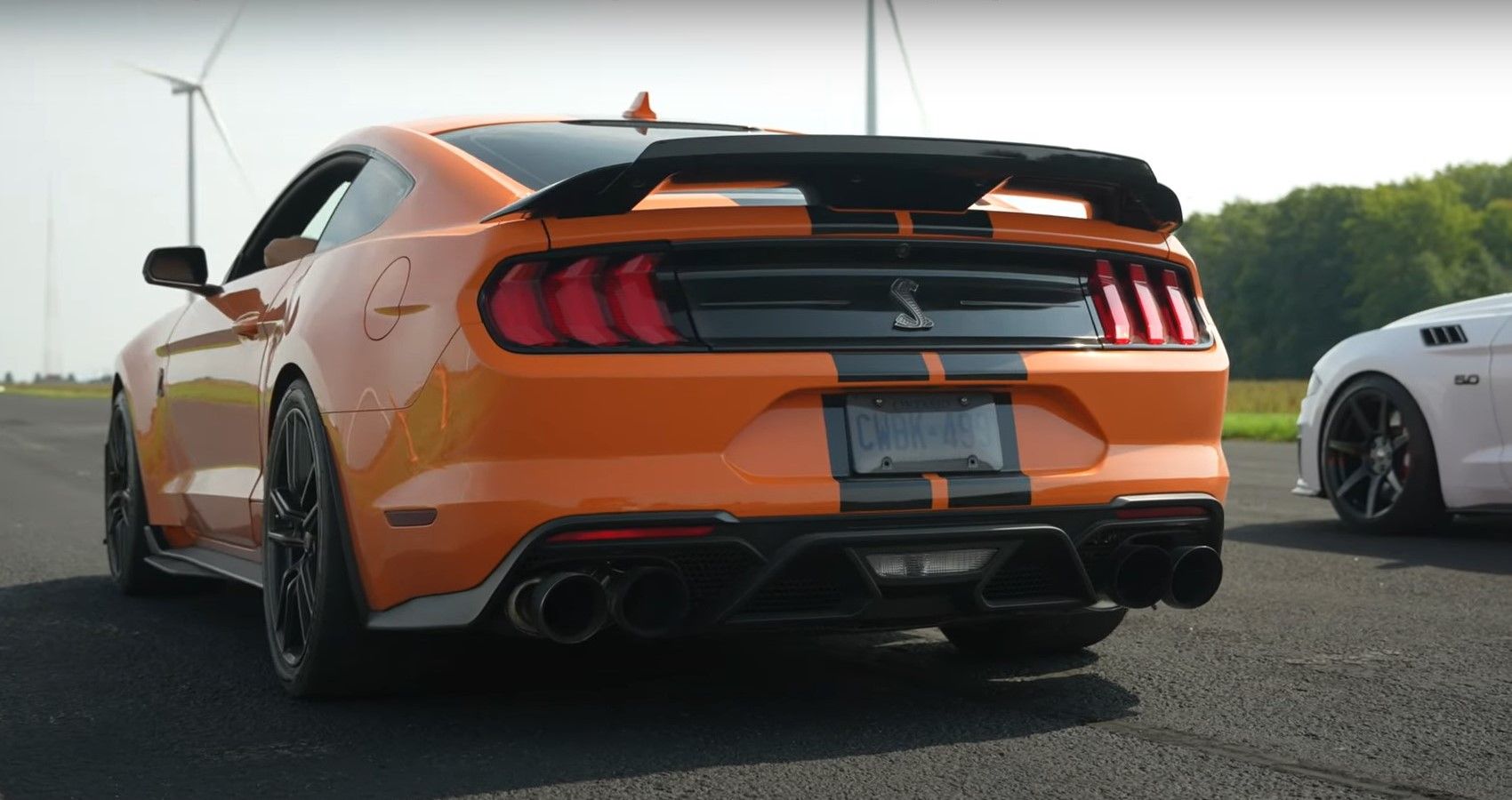 Watch These 2 Top Ford Mustangs Double Team A Porsche GT3 RS