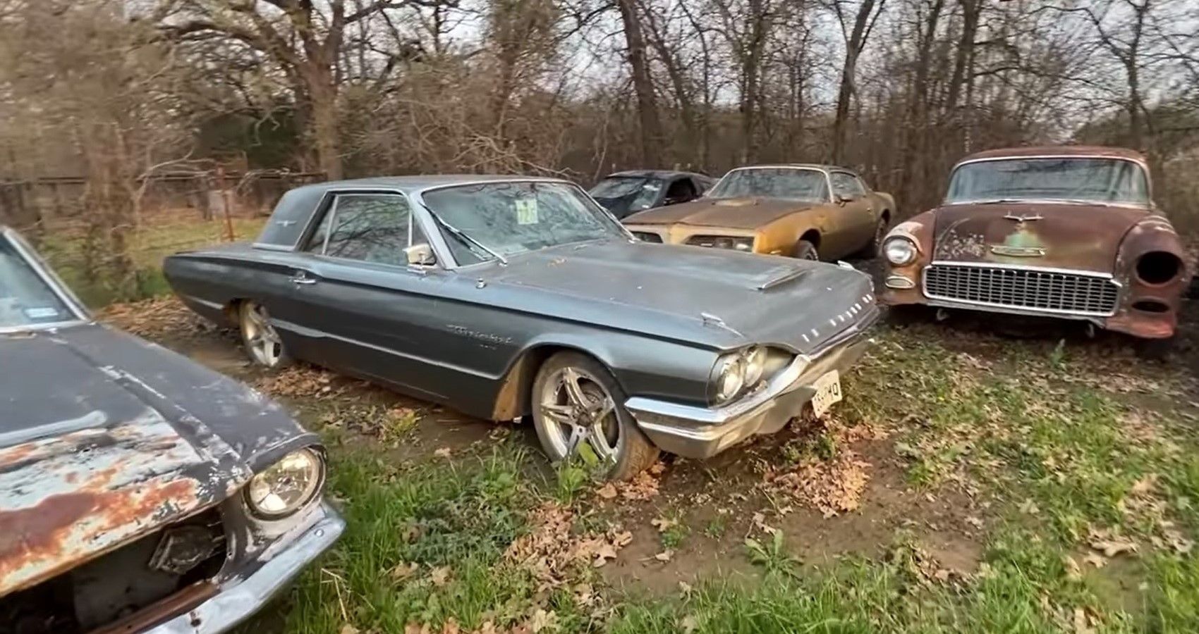 This Classic Car Hoarder Doesn't Want To Sell These Gems Sitting In A Field