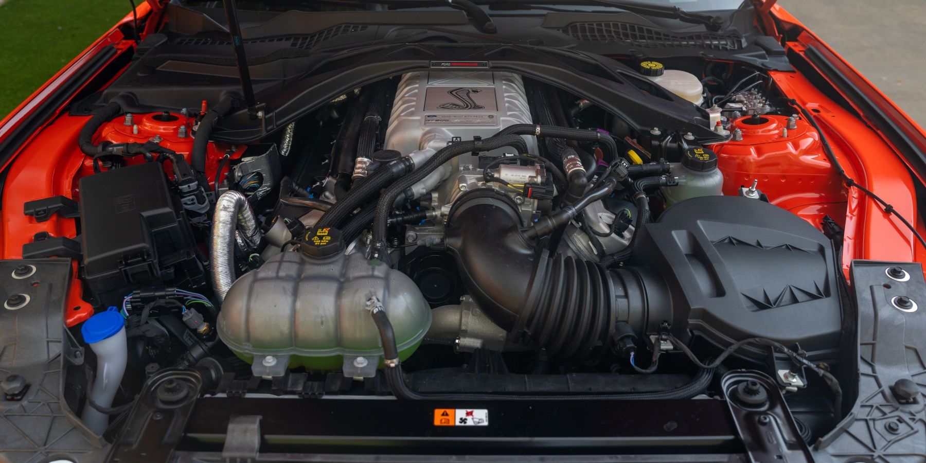 10 Things We Want From A New Ford Shelby GT500