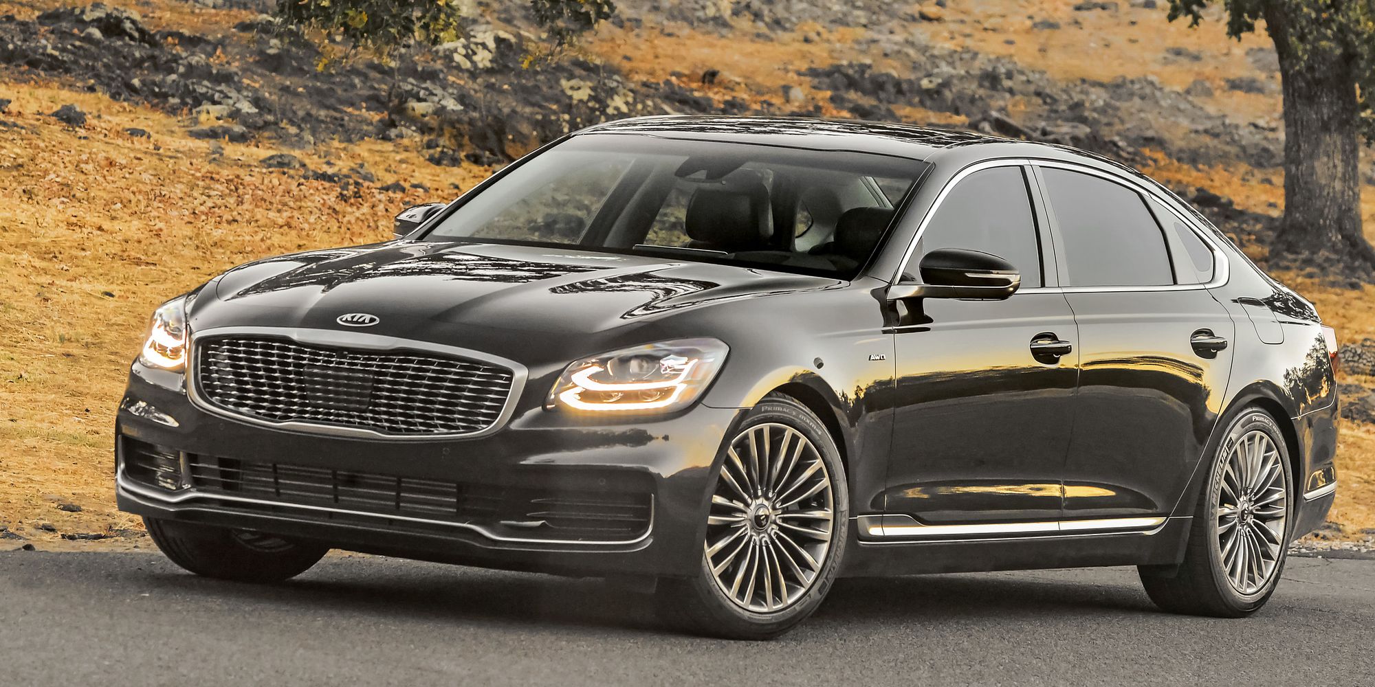 10 Cheap Luxury Cars We'd Buy Over The Tesla Model S