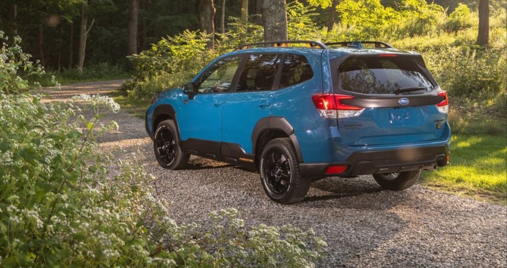 2025 Subaru Forester Compact SUV: Release Date, Expected Price, Specs ...