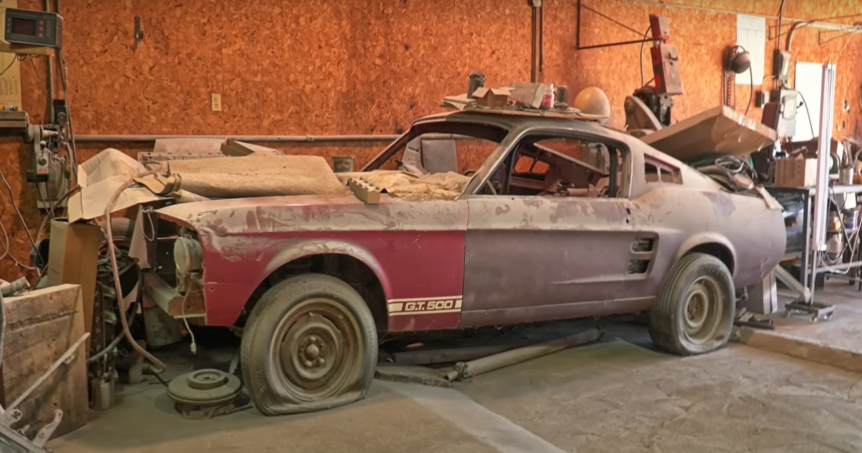 This Abandoned 1967 Shelby GT500 Barn Find Will Break Your Heart