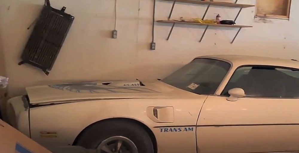 This Amazing Collection Of 50 Pontiac Trans Ams Has Something For ...