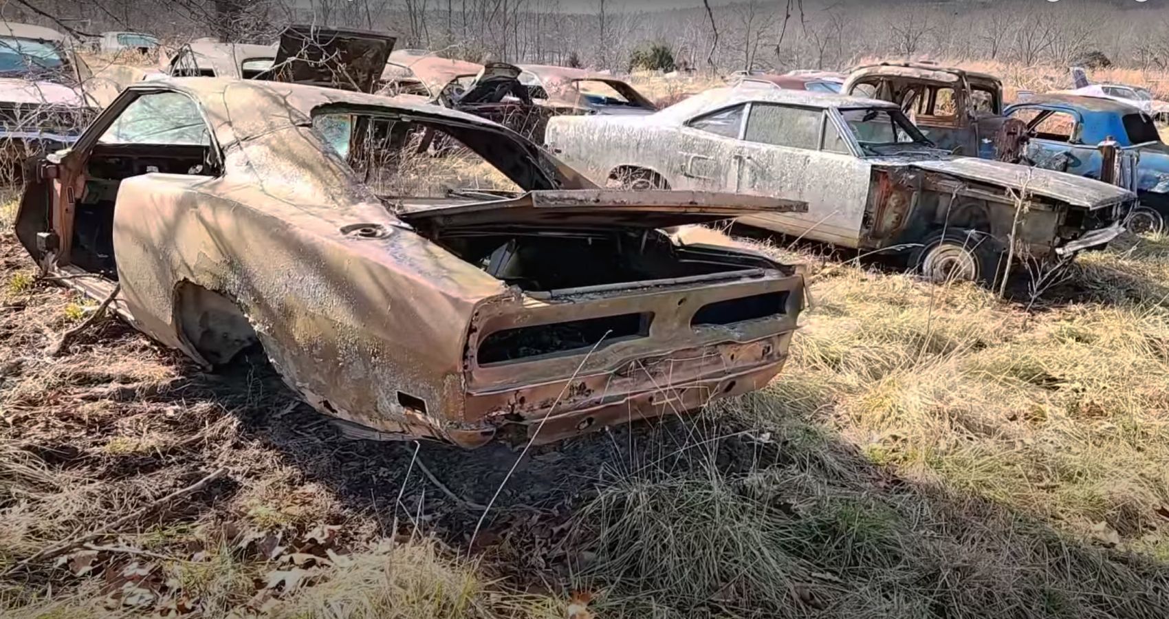 Neglected Mopar Treasure Trove Found In Mid-Western Farm Field