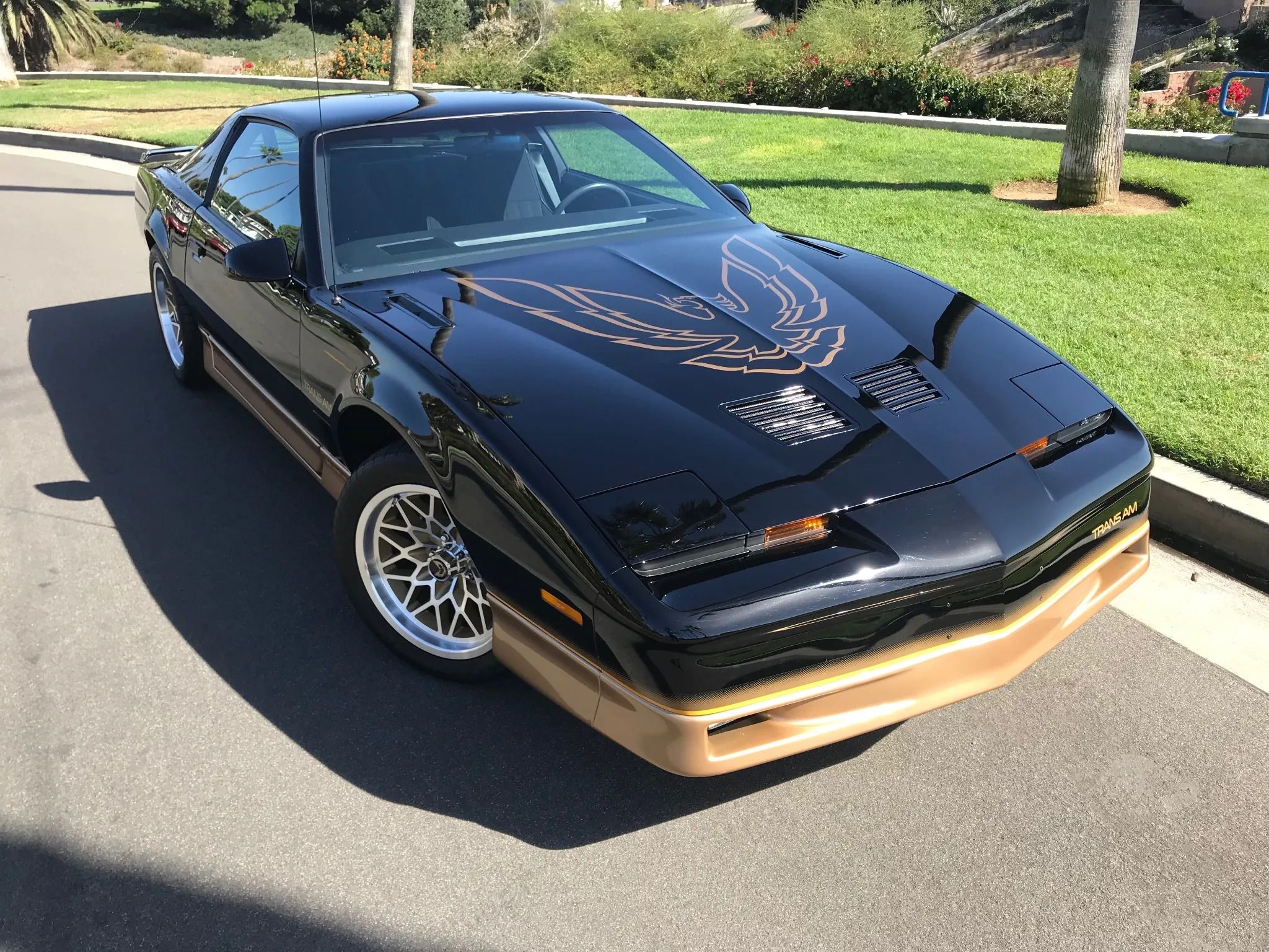 Pontiac Firebird Through the Years: A Visual History