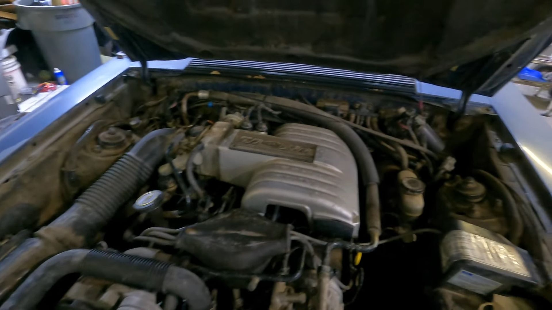 Minnesota Mustang Fox Body Emerges From A Chicken Barn After 10 Years ...