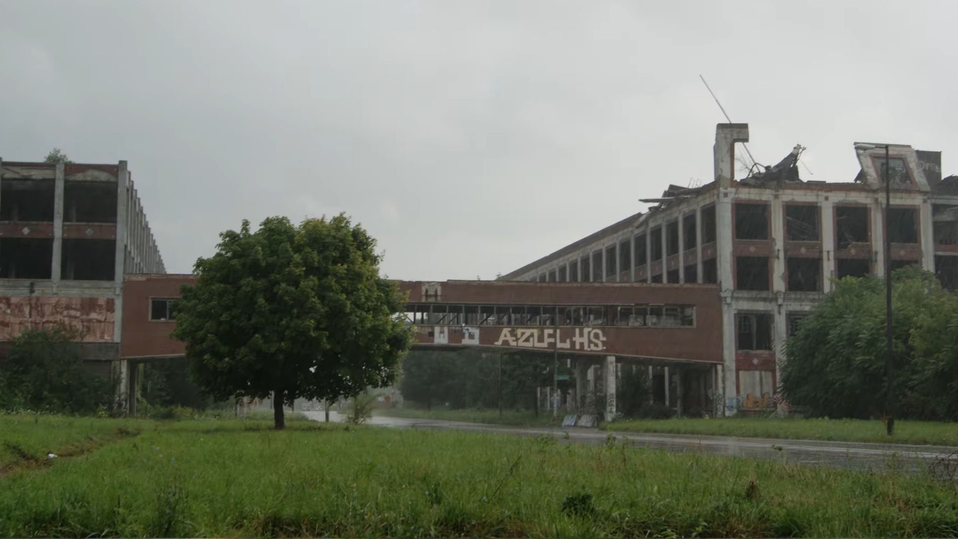 1970 Dodge Challenger T/A Gets Rescued After Sitting For Years In The ...