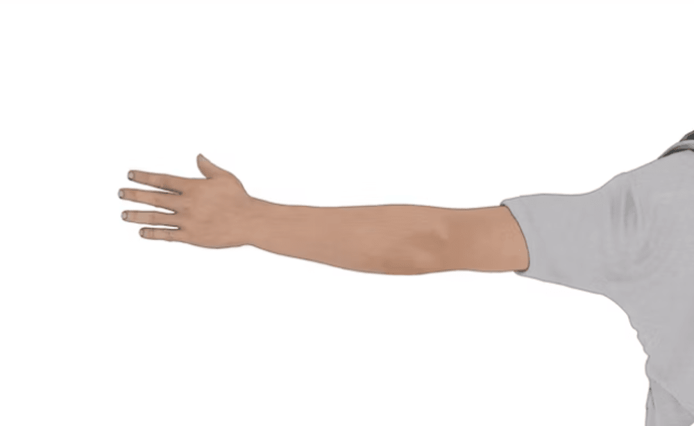 Understanding Basic Driver Hand Signals: A Quick Guide