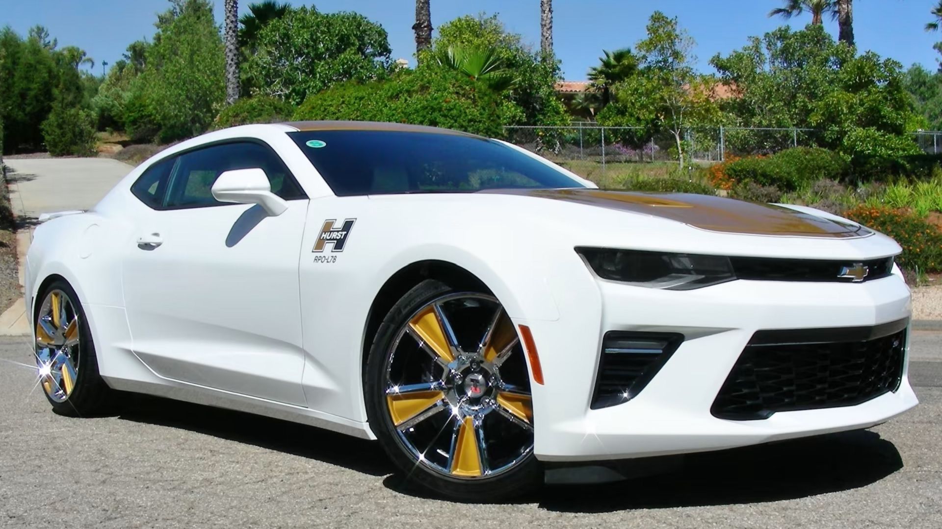 Incredible Hurst Chevy Camaro And Hertz Shelby GT350H Appear At Local ...