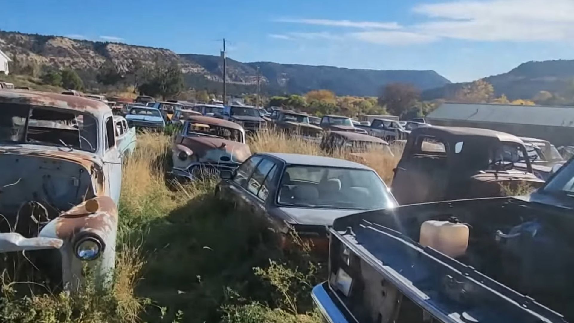 Massive Collection Of Over 300 Classic Cars Found Hidden In A Forest