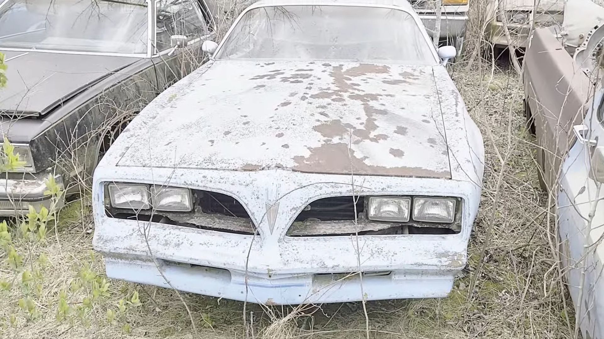 Wisconsin Junkyard Holds A Plethora Of Pontiac Firebirds