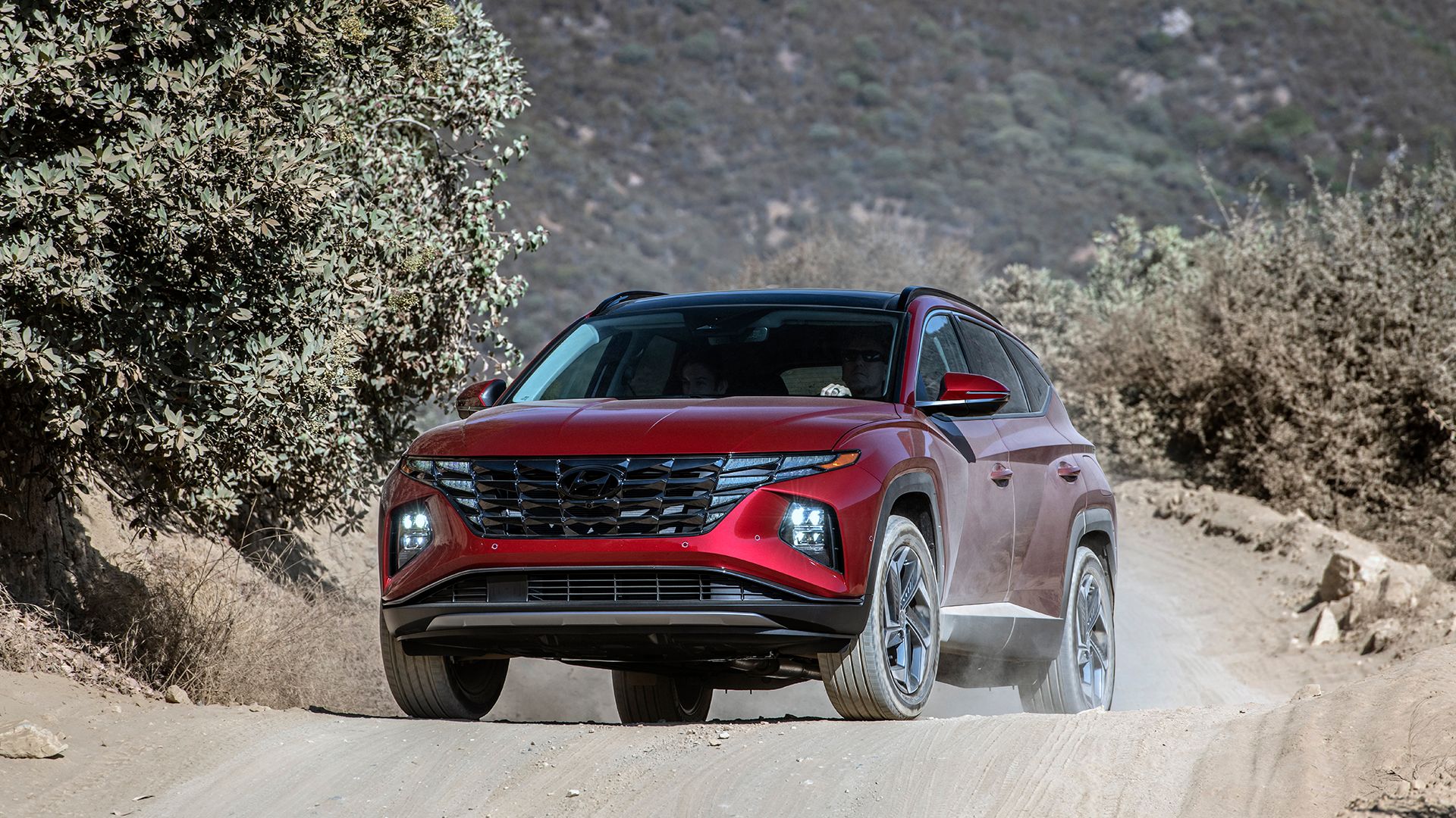 2024 Hybrid SUVs With The Best MPG, Ranked