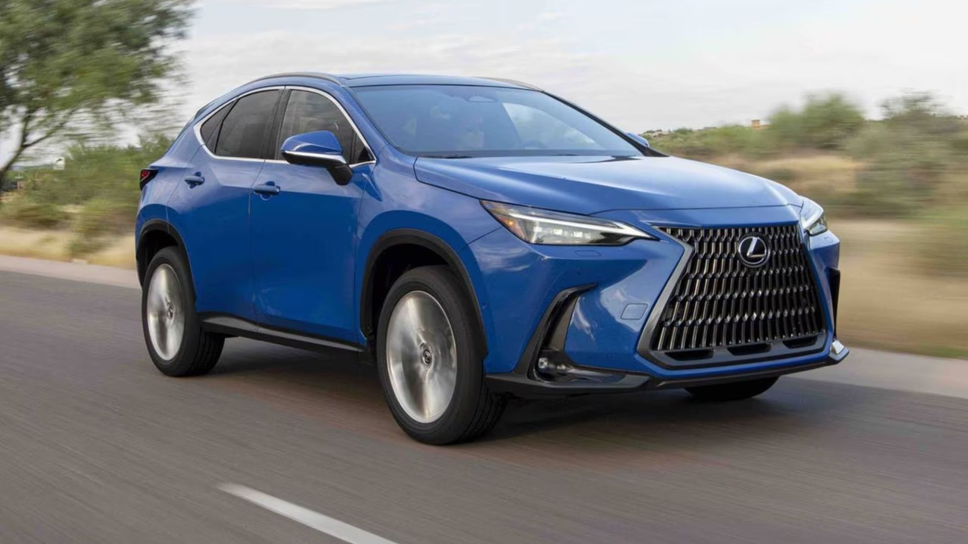2024 Lexus NX | HotCars