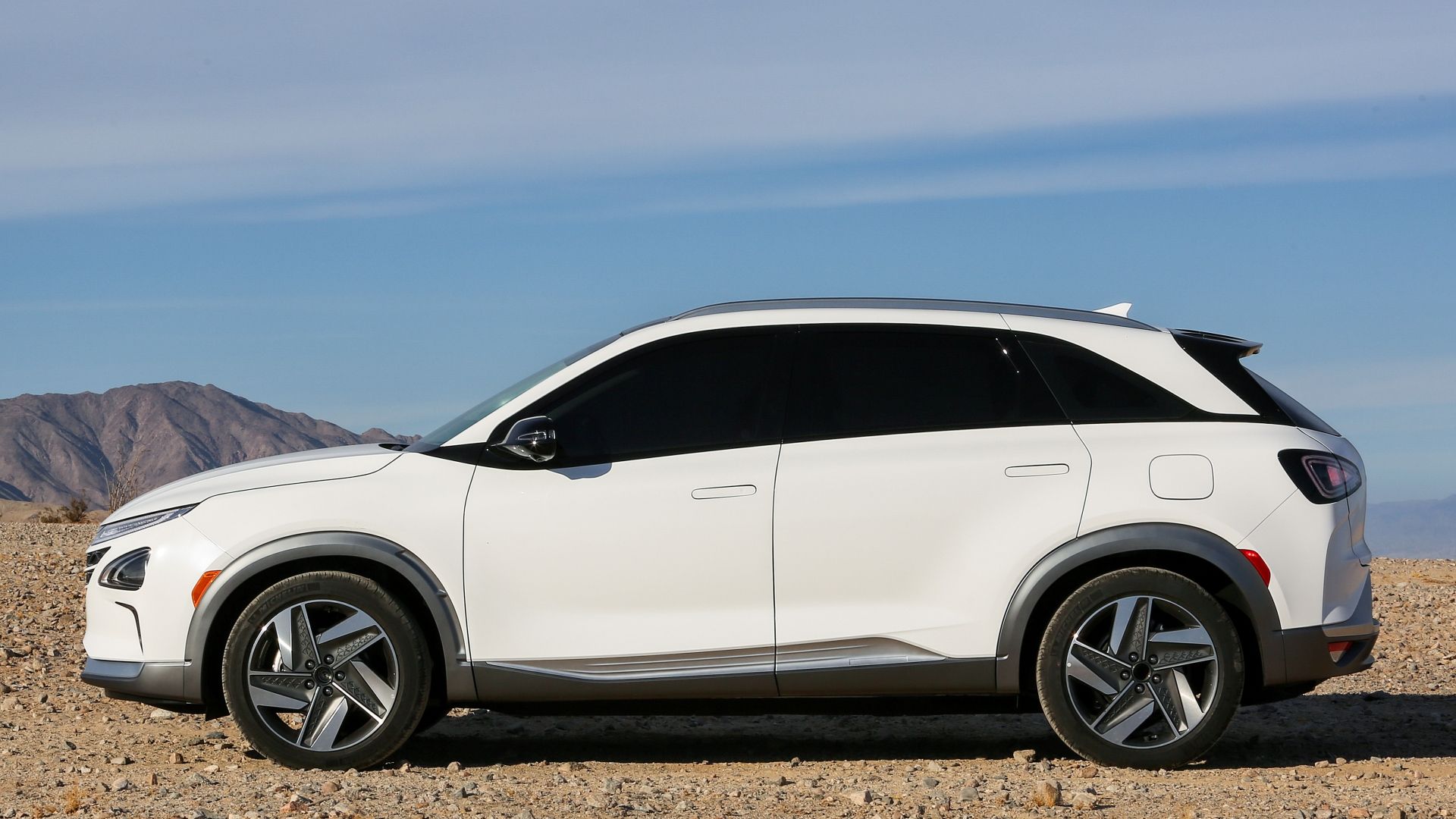 Nexo 7 2024 X 2024 Dispatch #224: 2024: The Year In Review