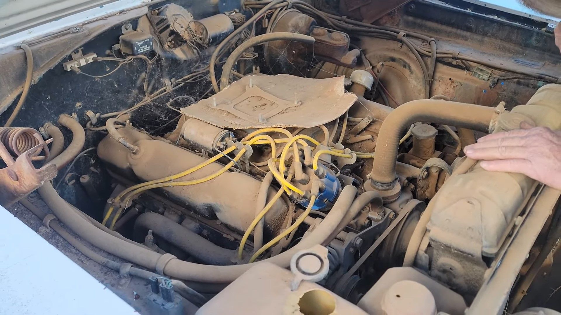 Desert Car Hunter Discovers Rare 1968 Dodge Charger R/T Sitting For 50 ...