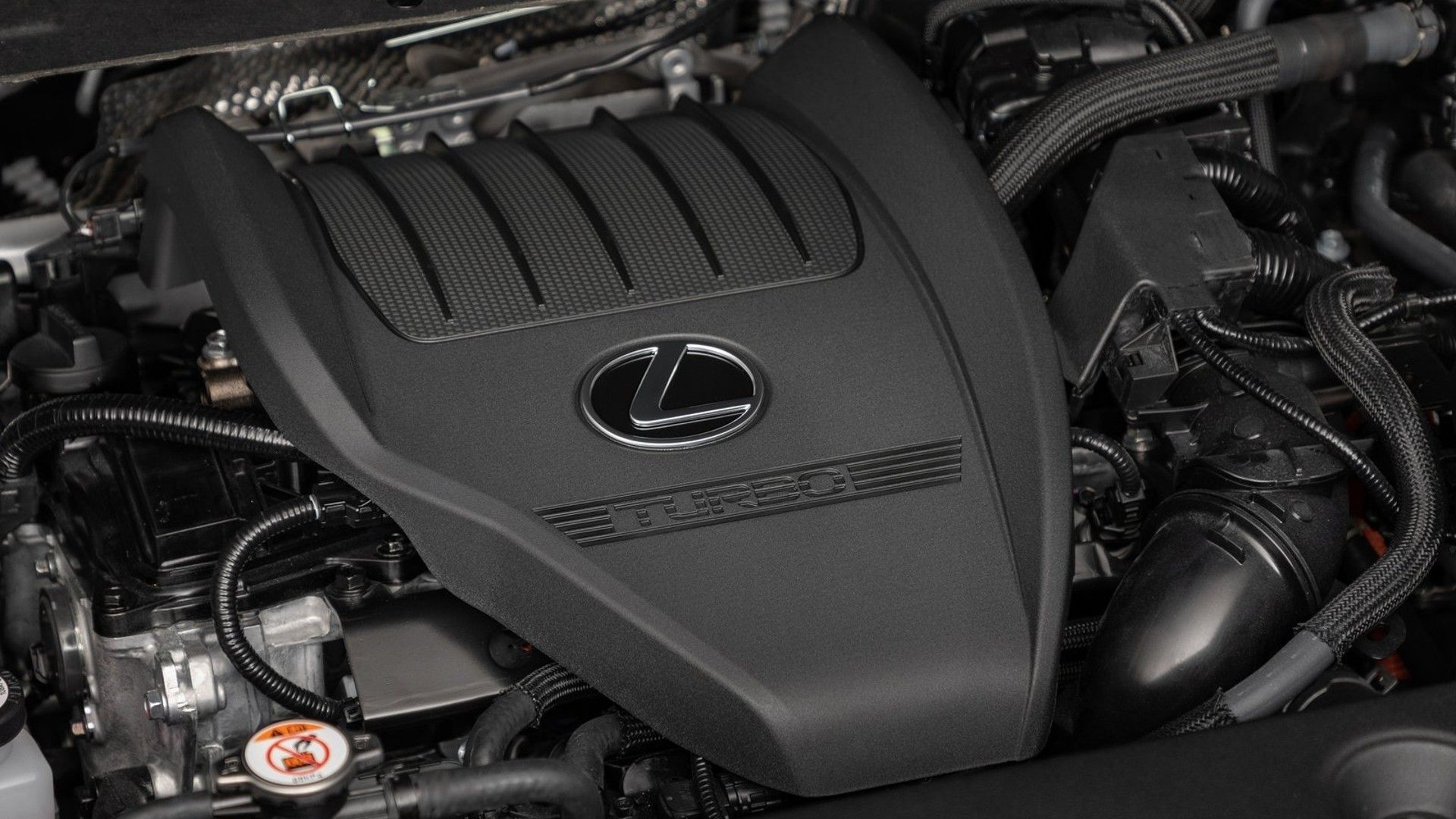 2024 Lexus TX | HotCars