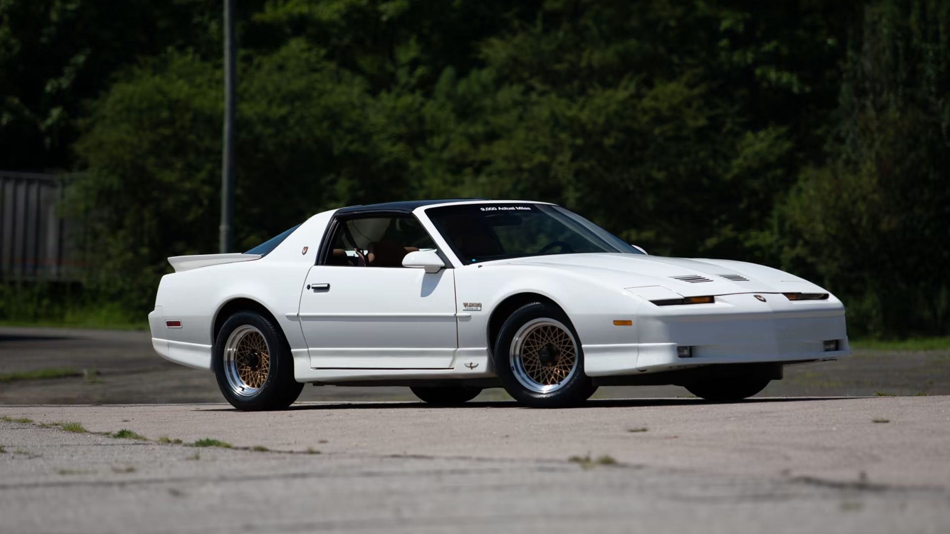 King of the Trans Ams (muscle car, convertibles, engine, driver ...