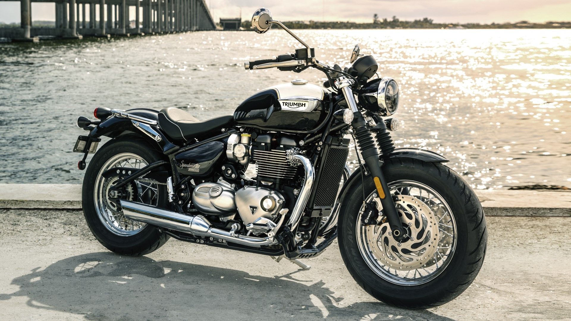 Every 2024 Triumph Parallel-Twin Motorcycle Ranked By Power