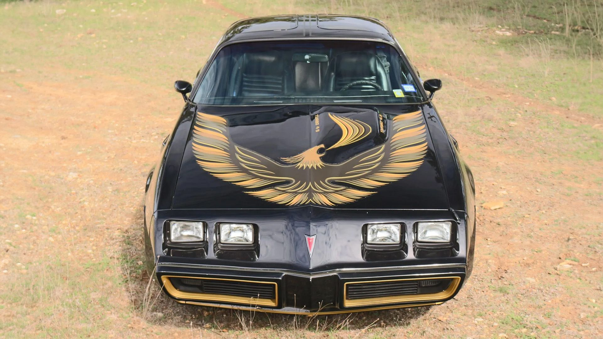 These 12 Affordable Pontiac Trans Ams Are Pony Car Bargains