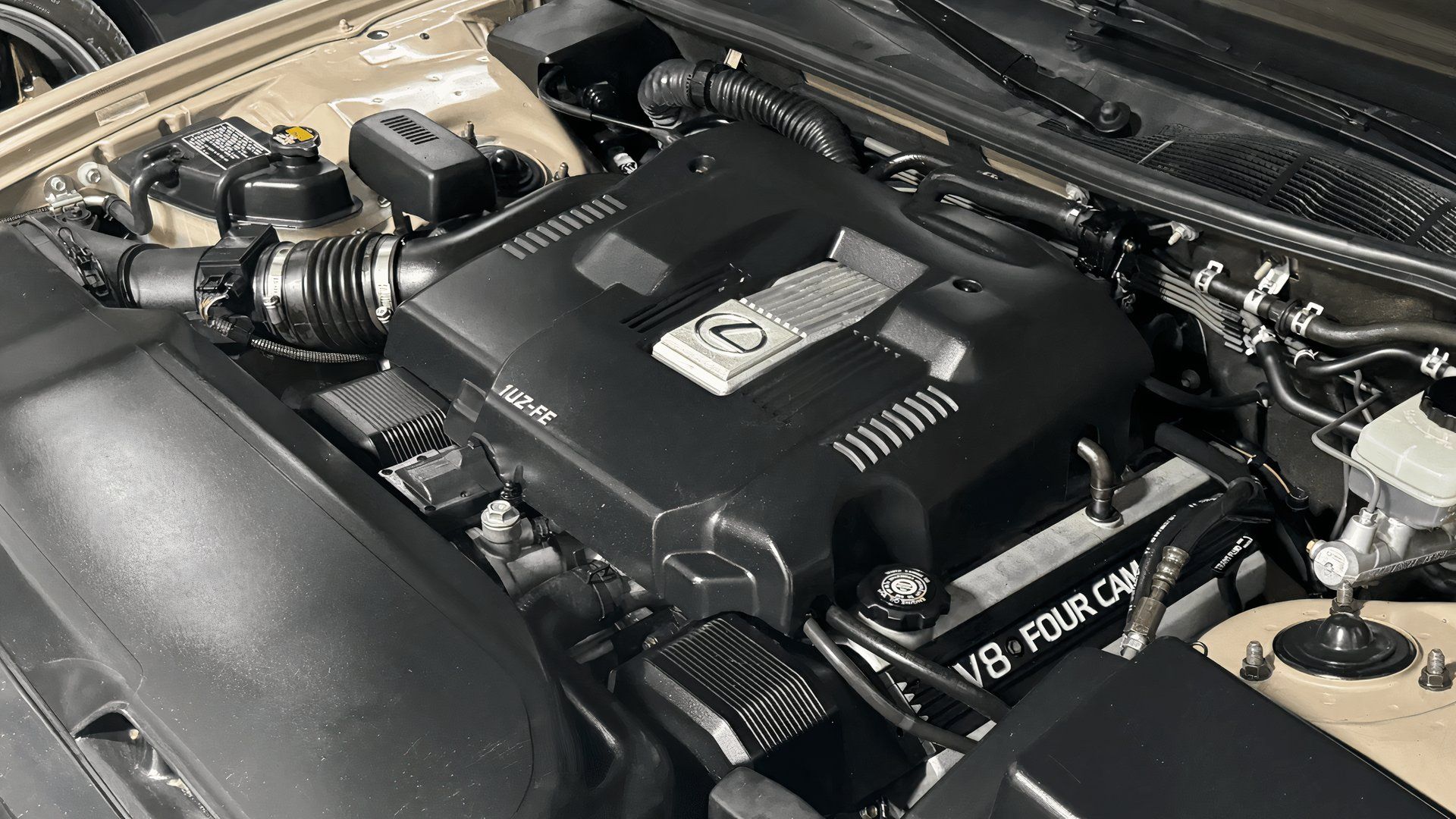 12 V8 Engines Built For Performance And Reliability