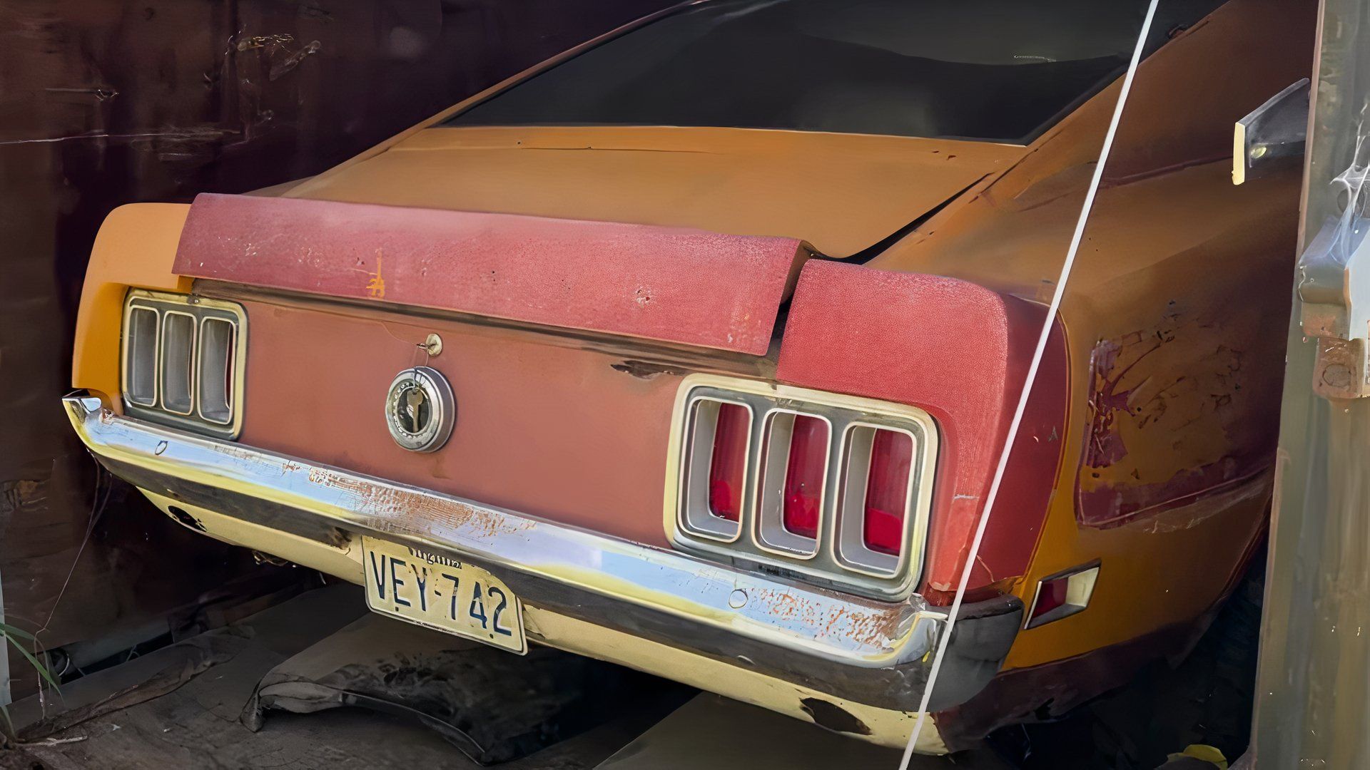 Hidden Ford Mustang Collection Reveals Boss 429, Shelby GT350 & Other ...