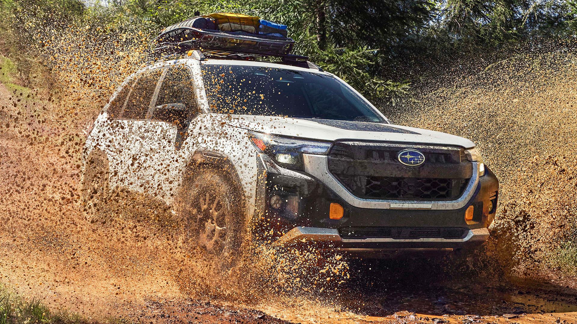 2026 Subaru Forester Wilderness Debuts Before Fall Market Launch