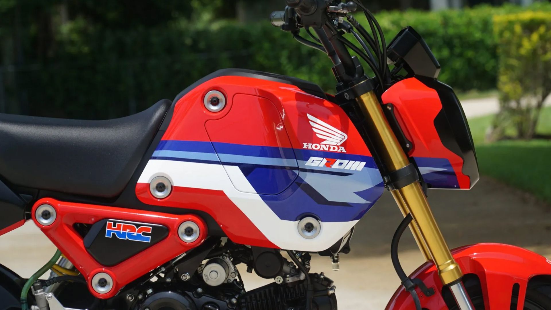 2021 Honda Grom HRC Cup Is On Auction In Rare Chance At US Sale