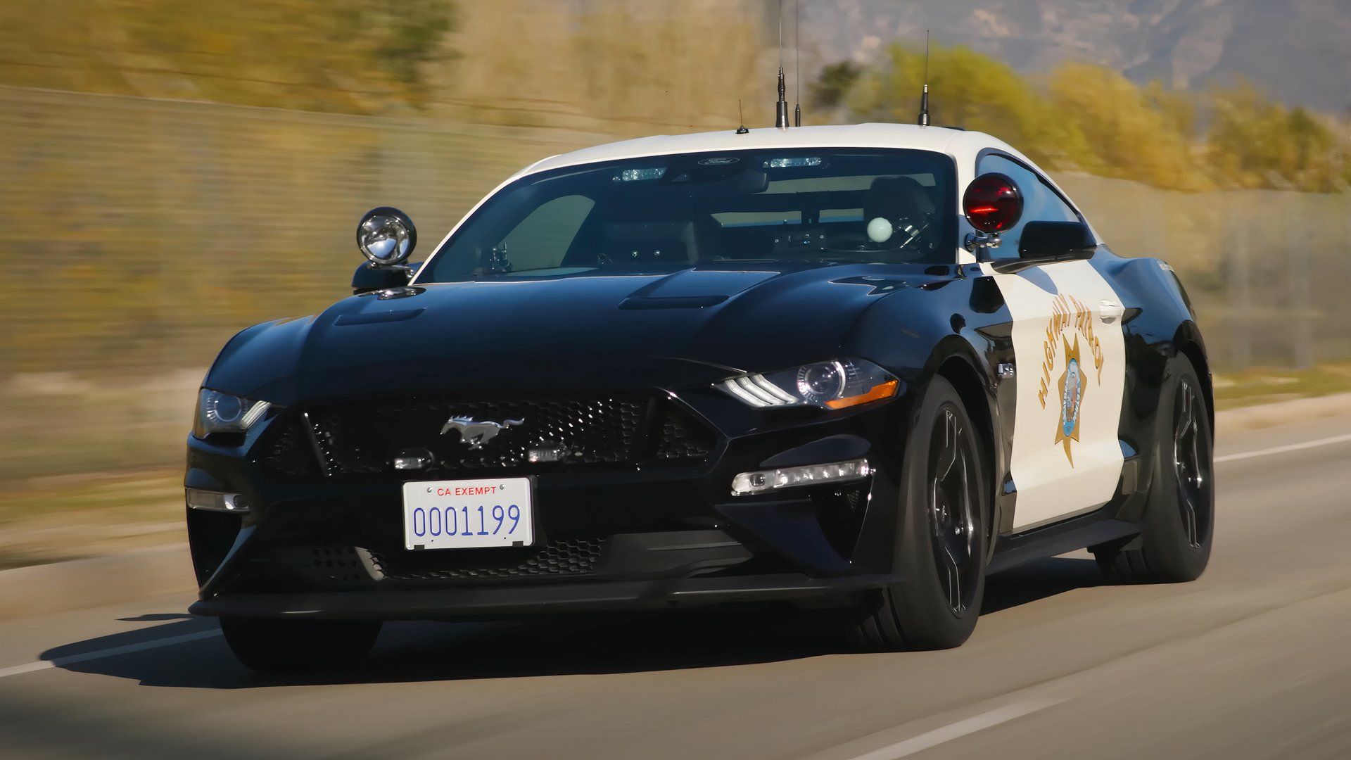 The True Story Behind The 'Need For Speed' Mustang